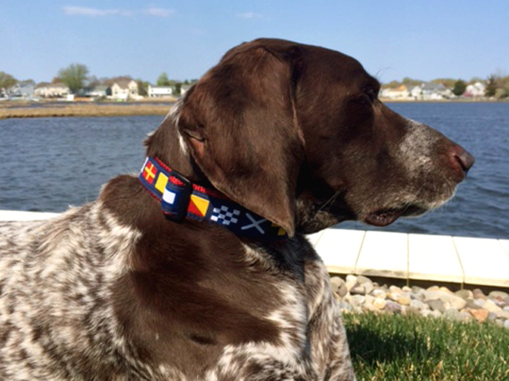 Collars/Leashes – CapeAnnies