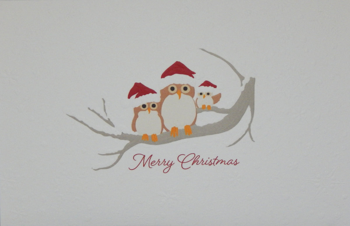 "Merry Christmas"Bird Christmas Cards (#1426)NEW! Embossed by Pumperni ...